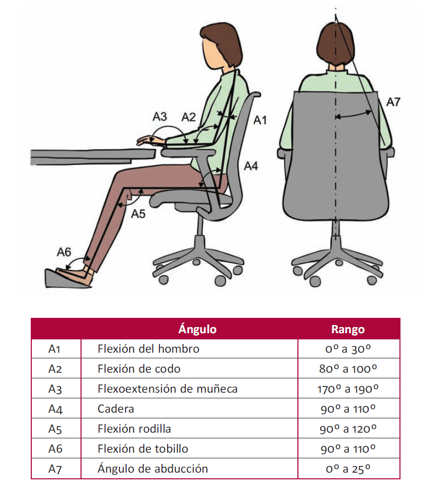 ¡Las sillas ergonómicas harán más productivo tu lugar de trabajo!